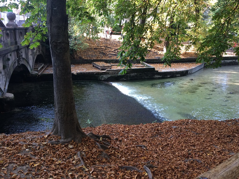 eisbachwelle.de - EISBACH MÜNCHEN RIVER SURFING – alles über Surfer ...
